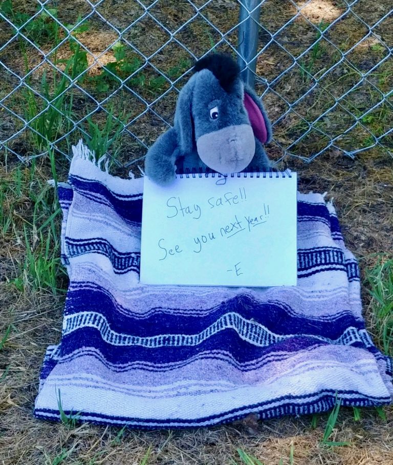 Eeyore's Birthday Party – An Austin original.